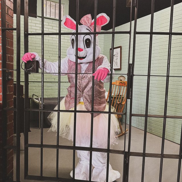 Quality Inn of Mount Airy | Mayberry, NC