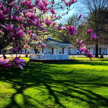 Mayberry Motor Inn | Mayberry, NC